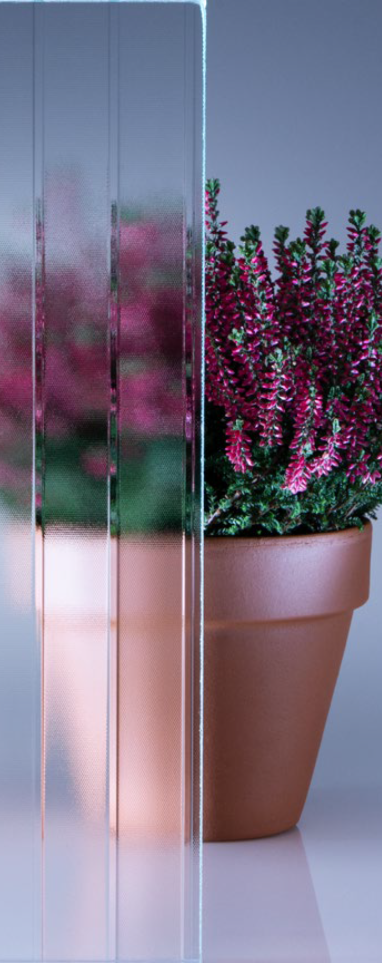 MASTERGLASS®